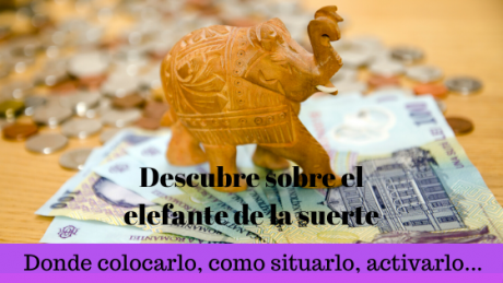 Elefante de la suerte: Cómo colocarlo, donde y mucho más..