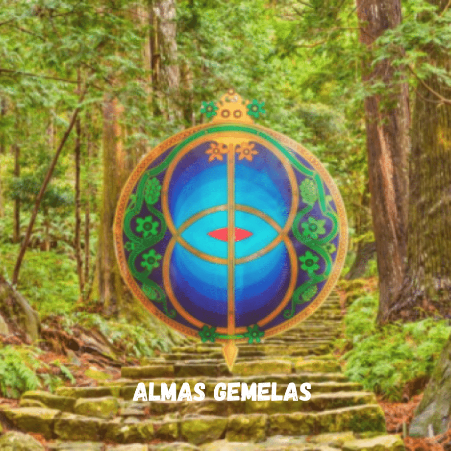 Almas gemelas: qué es, características y significado
